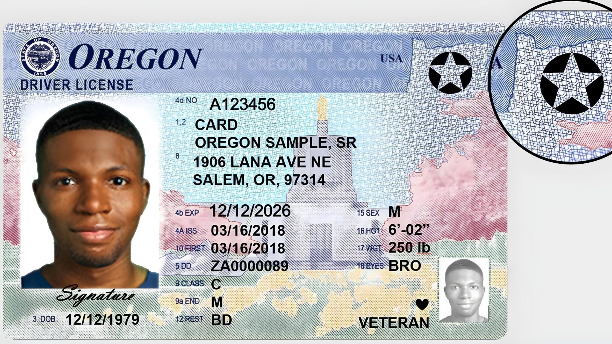 Everything to consider before submitting a photo for a U.S. driver’s ...